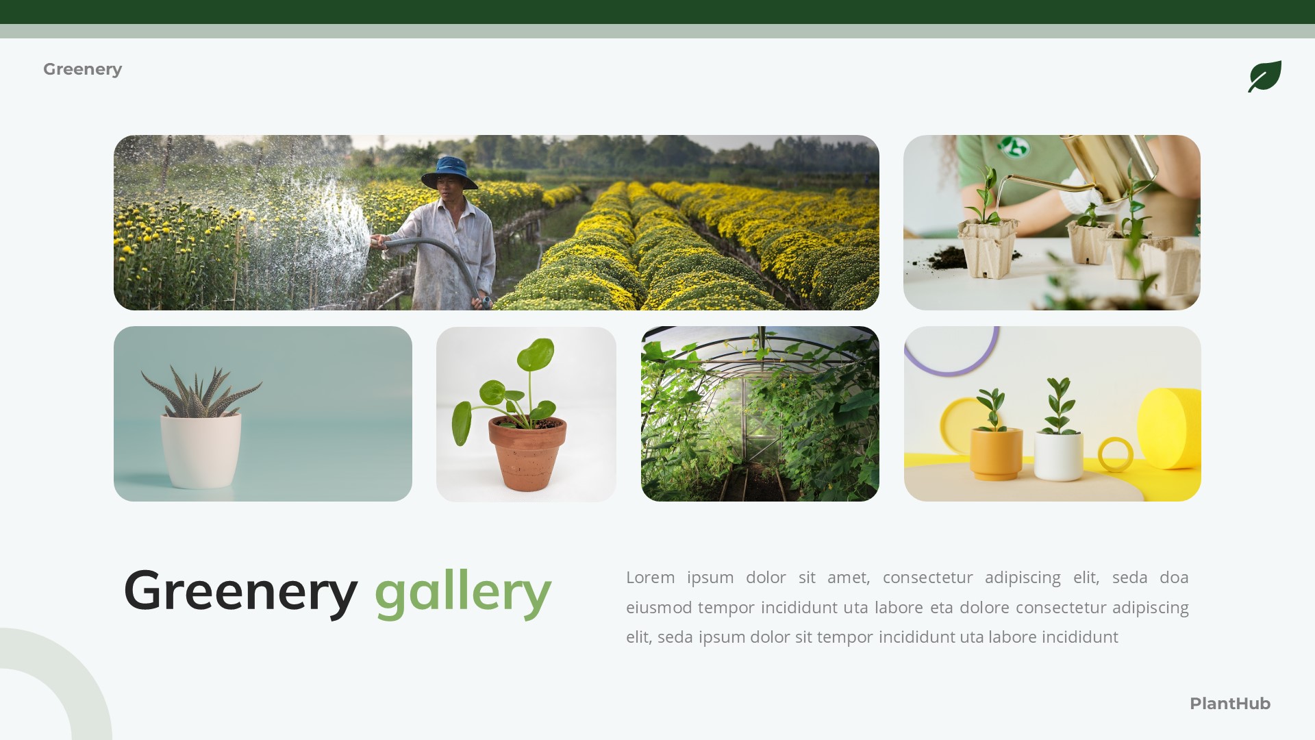 Greenery - plants and vegetation Keynote template, Presentation Templates