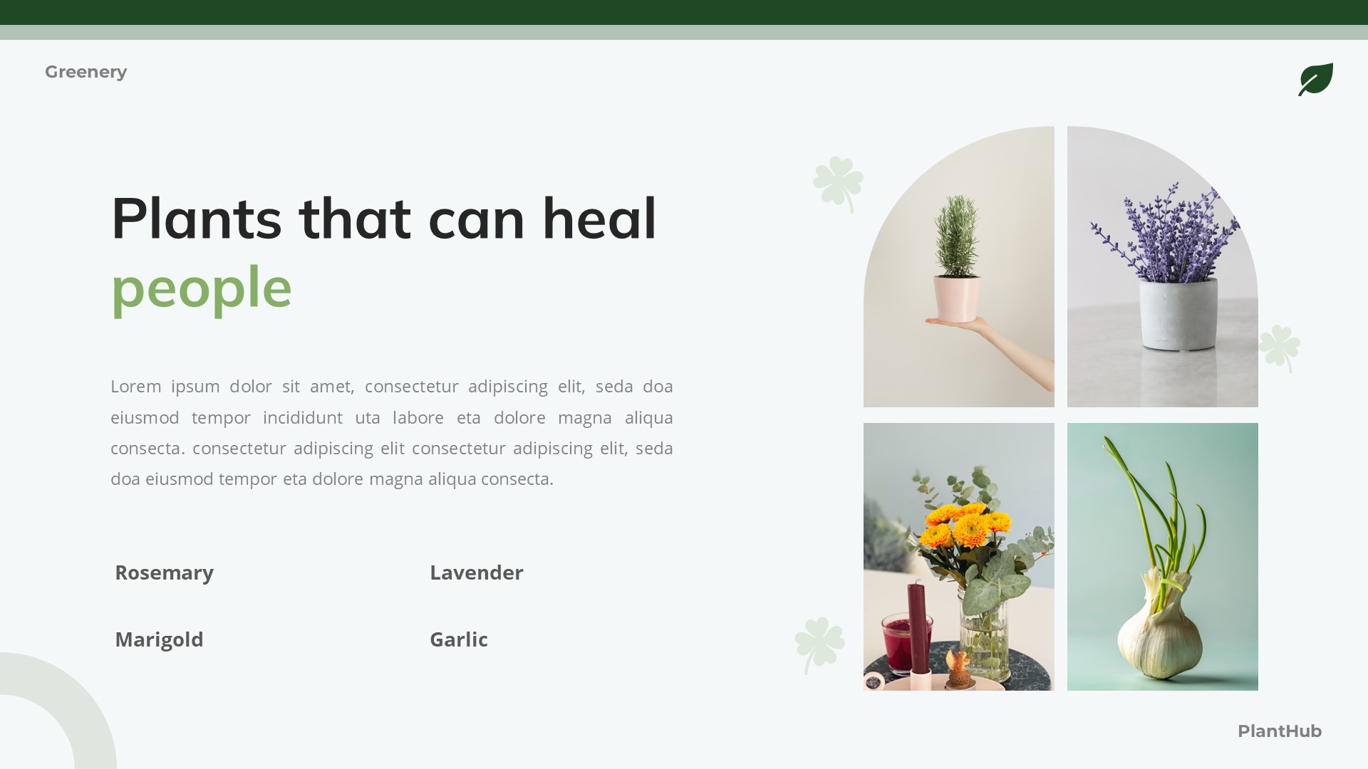 Greenery - plants and vegetation Keynote template, Presentation Templates