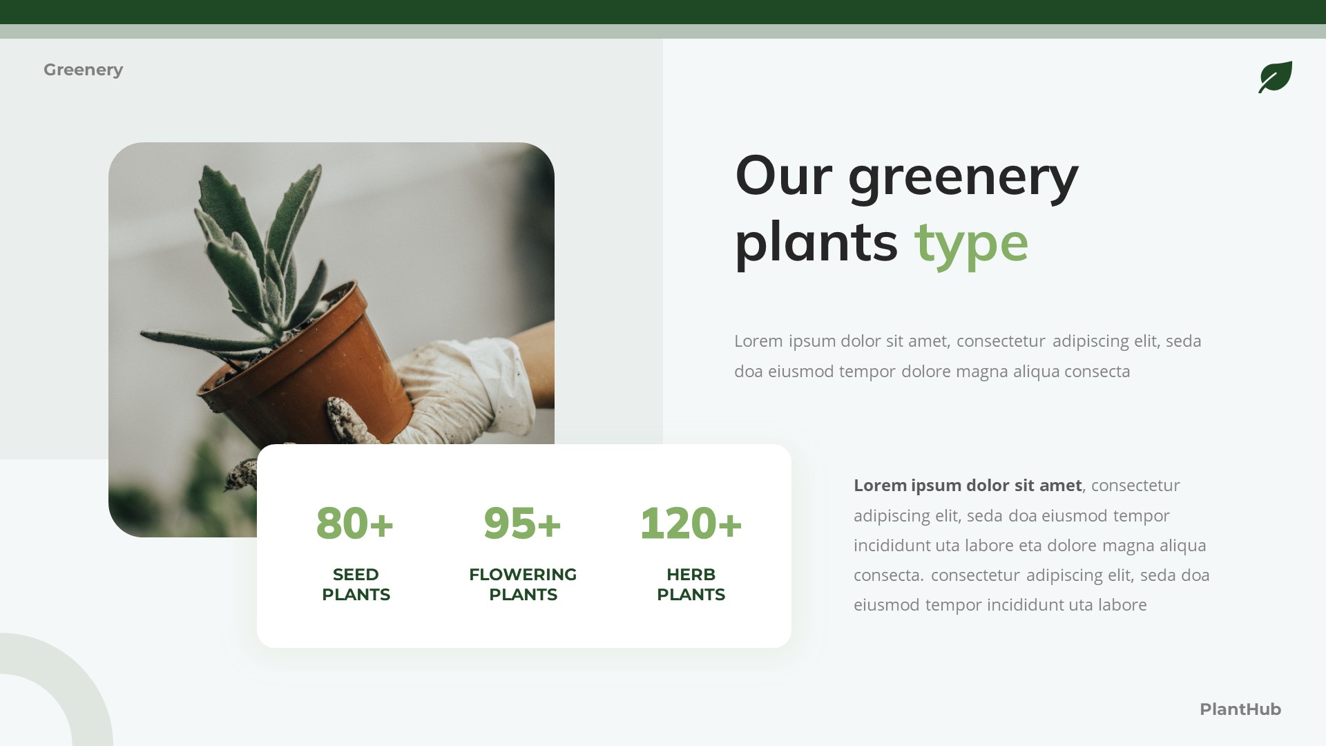 Greenery - plants and vegetation Keynote template, Presentation Templates