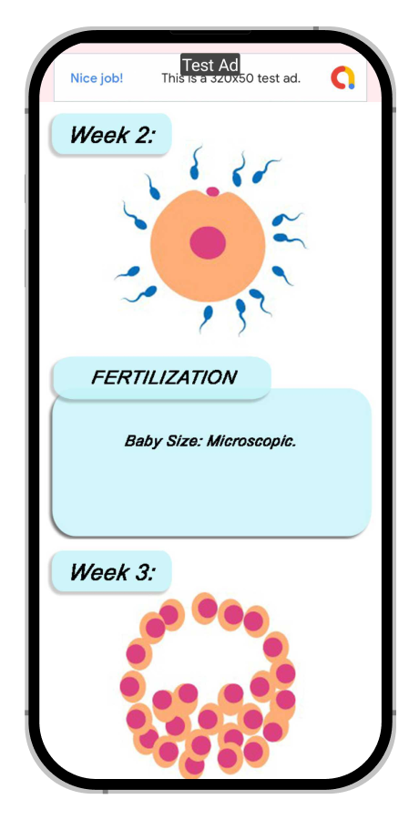 Pregnancy Tracker Week by Week - Baby Tracker - Ovulation Tracker ...
