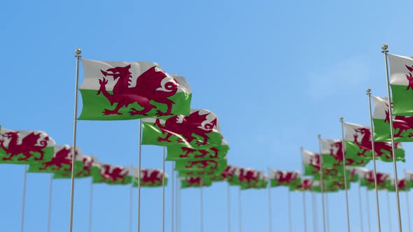 Wales row flag Row Of Flags Animation, Motion Graphics | VideoHive