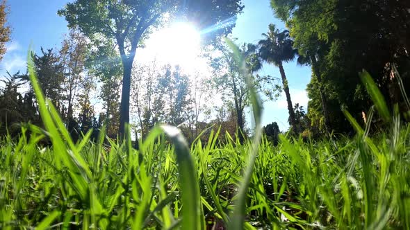 Low angle view of grass field at public park against beam of light ...