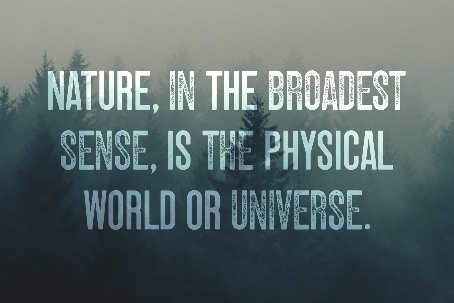 Black Phantom - Textured Logo Font, Fonts | GraphicRiver