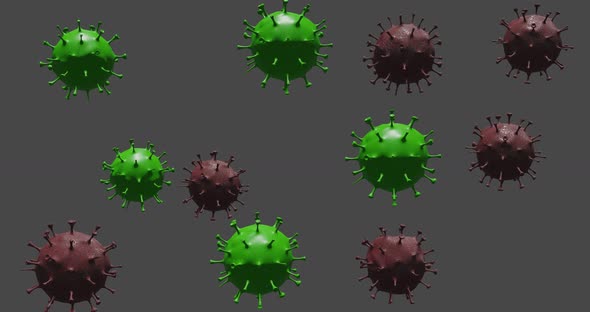 3D animation of a bacterial cells under a microscope, Motion Graphics