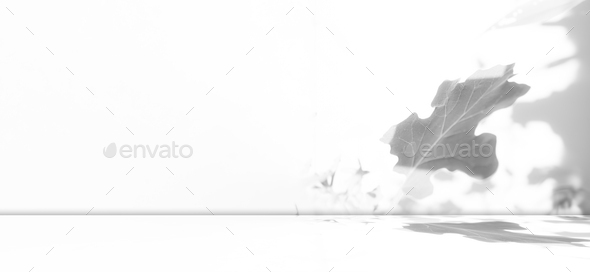 Floor Shadow Kitchen Concrete Wall Abstract White Texture Light Table ...