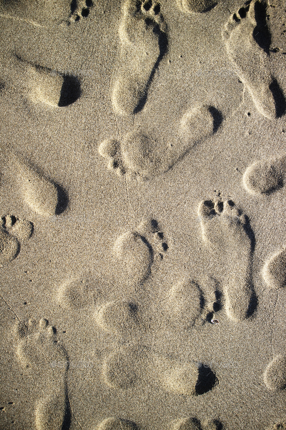 Photographic documentation human footprints in the sand Stock Photo by ...
