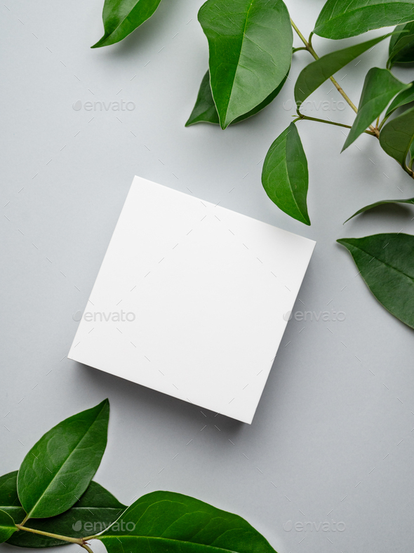 Modern empty product display. Minimal white box with green leaves on a ...
