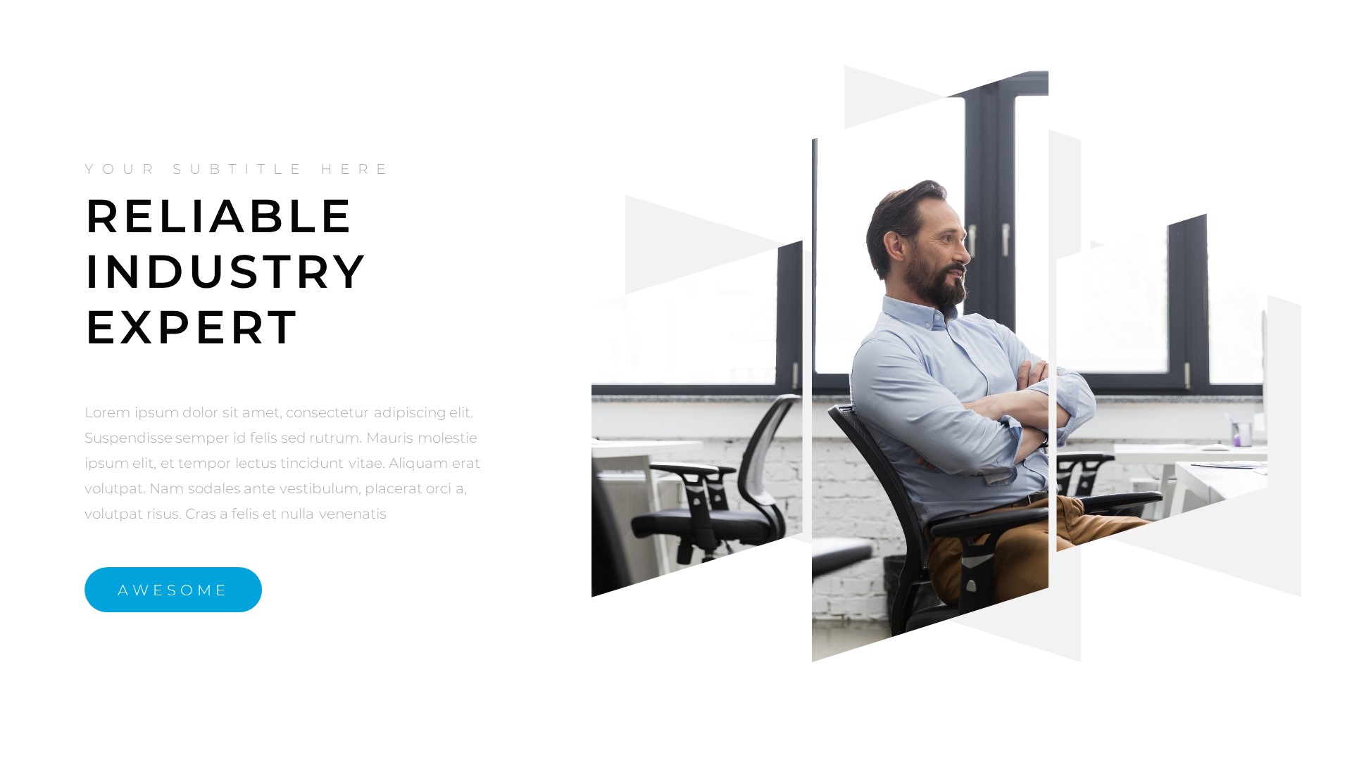 Project X - Startup PowerPoint Presentation Template, Presentation ...