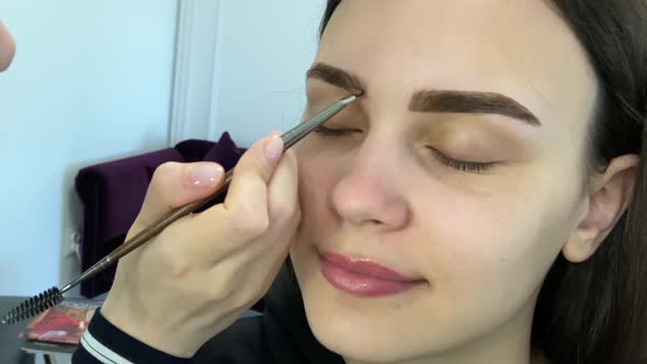 Dying or Coloring Eyebrows in Beauty Salon, Stock Footage | VideoHive