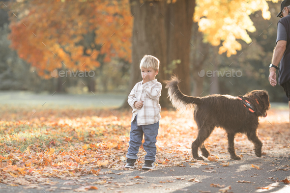 Child and dog walk in summer park. Little boy playing with his puppy ...