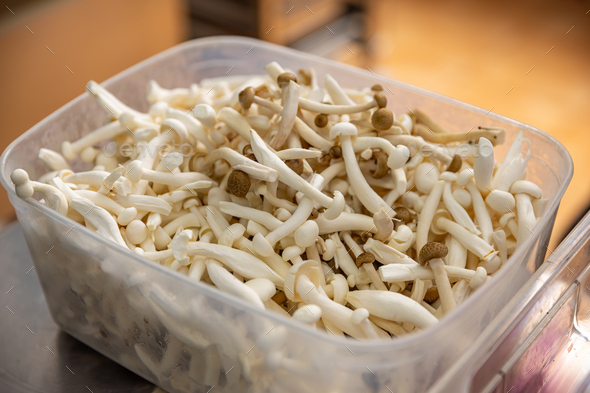 White enoki mushrooms. Stock Photo by grafvision | PhotoDune