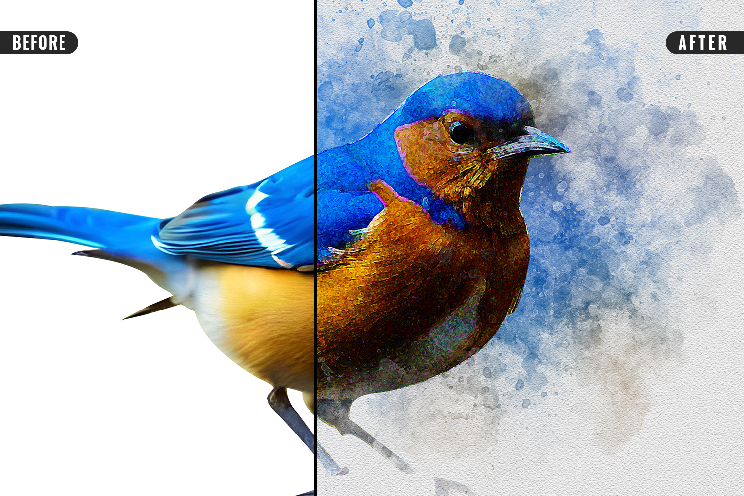 Watercolor Photo Effect, Add-ons | GraphicRiver