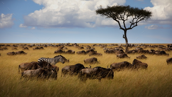 Wild animals in an open field in Masai Mara, Kenya Stock Photo by wirestock