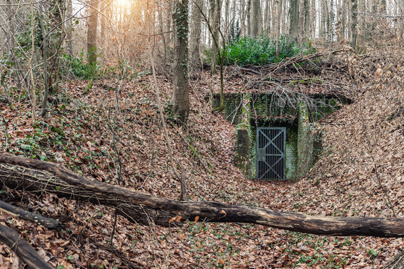 Second world war old abandoned concrete military bunker shelter hidden ...