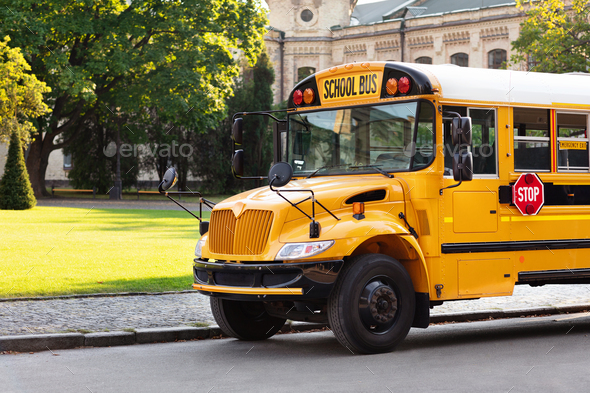 Big yellow school bus stopped on road with red stop sign out Stock ...