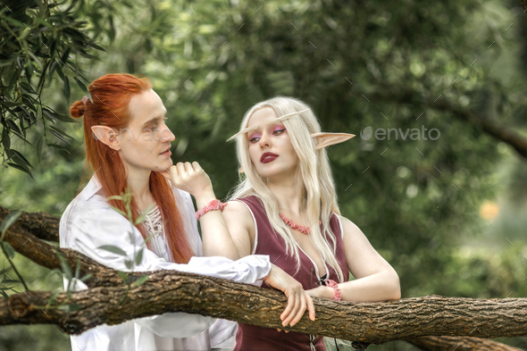 An elf man and an elf woman are standing near a tree. A pair of ...