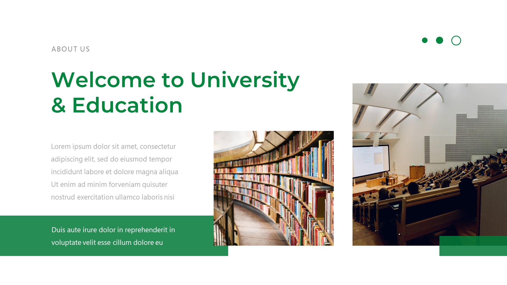 Braving - Education University Google Slides Template, Presentation ...