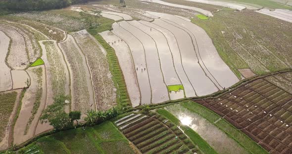 Asian countryside. view of watery land in lush green fields in central ...