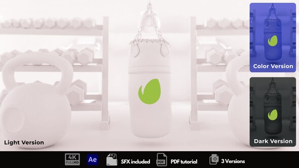 Gym Time, After Effects Project Files | VideoHive