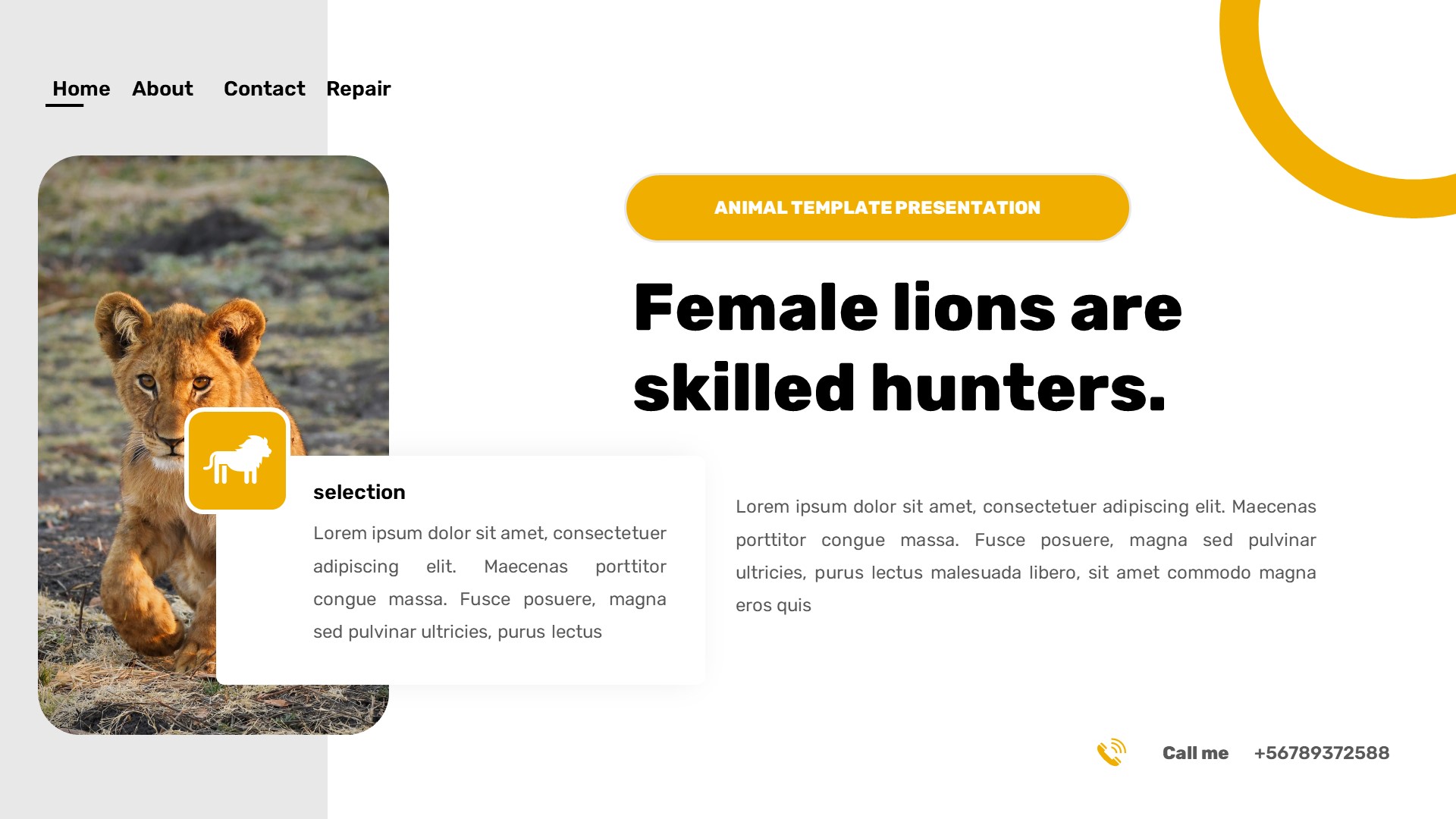 Maung - Animal Desert Lion Google Slides Template, Presentation Templates