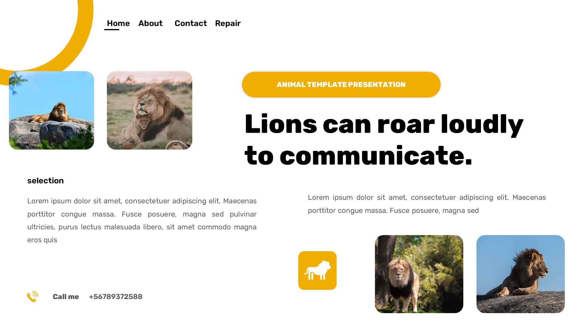 Maung - Animal Desert Lion Powerpoint Template, Presentation Templates