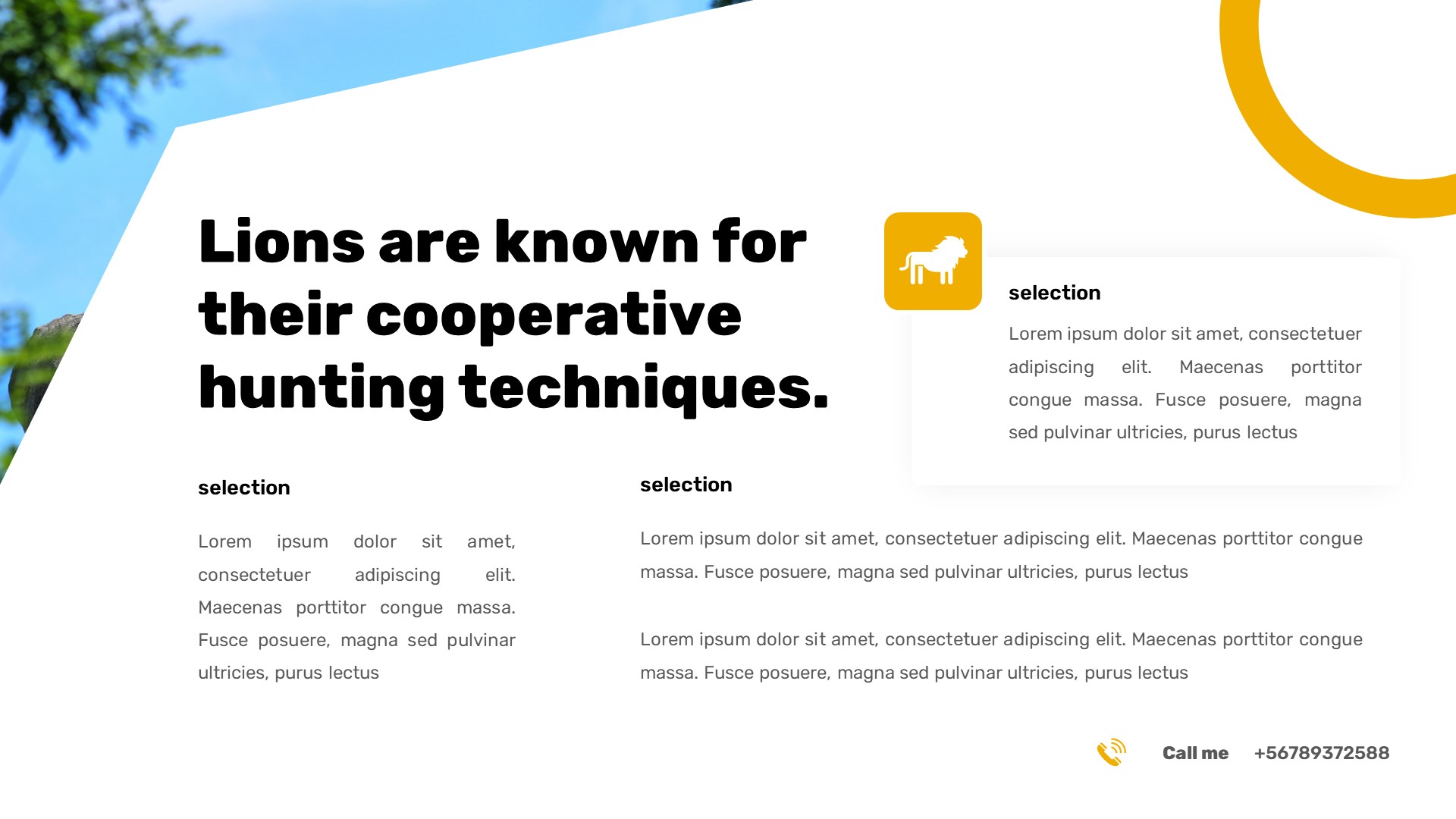 Maung - Animal Desert Lion Powerpoint Template, Presentation Templates