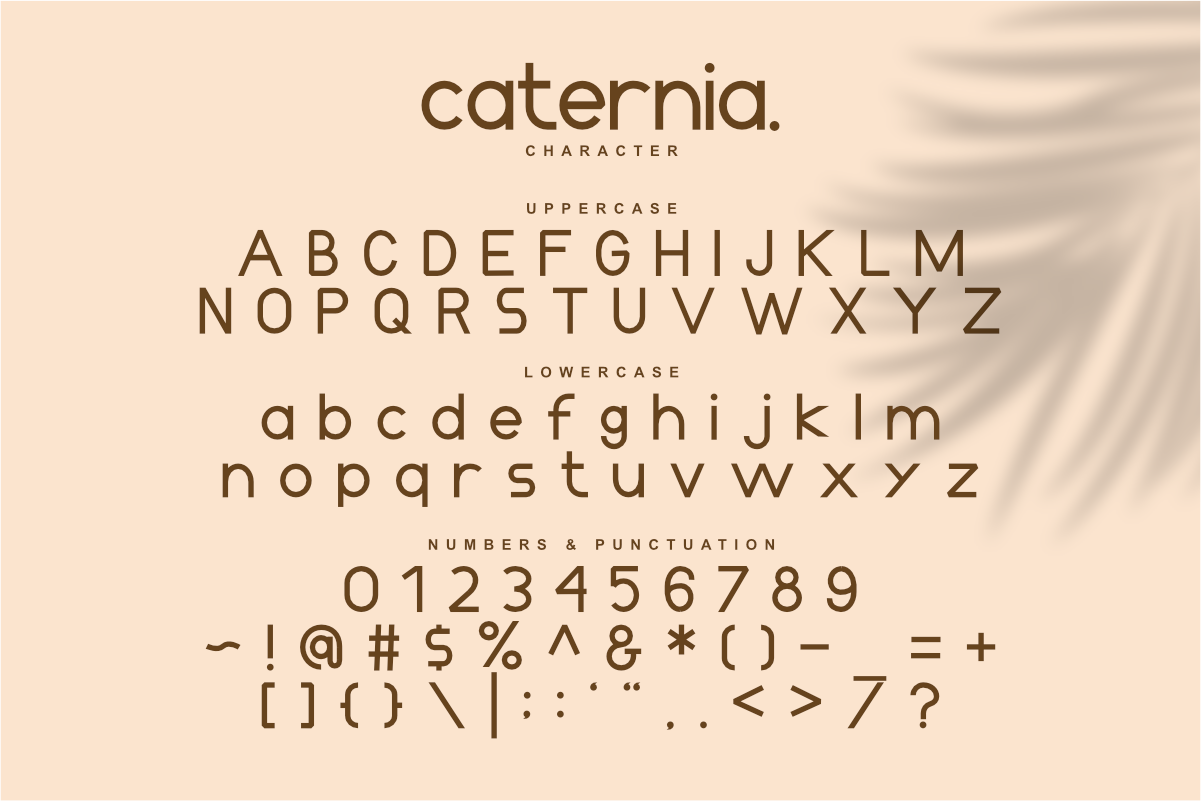 Cartenia Sans Serif Font, Fonts | GraphicRiver