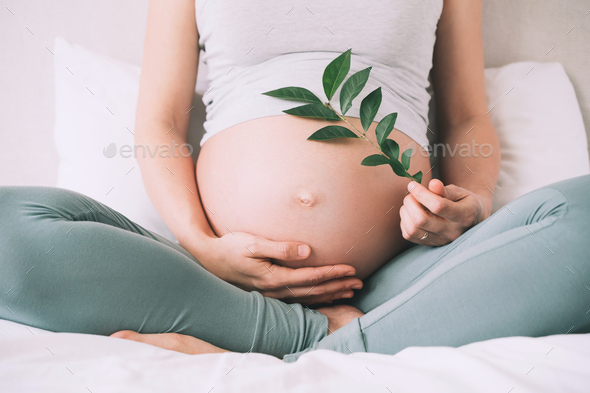 Pregnant woman holds green sprout plant near her belly as symbol of new ...