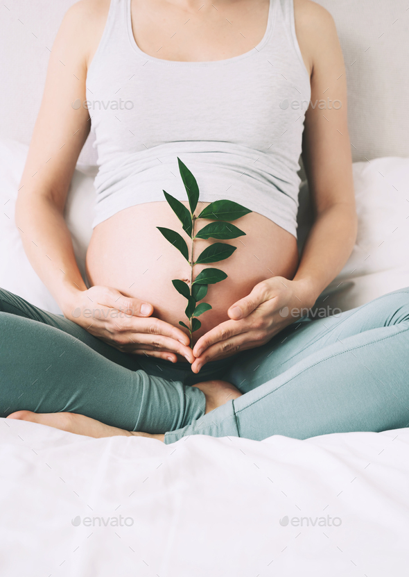 Pregnant woman holds green sprout plant near belly as symbol of new ...