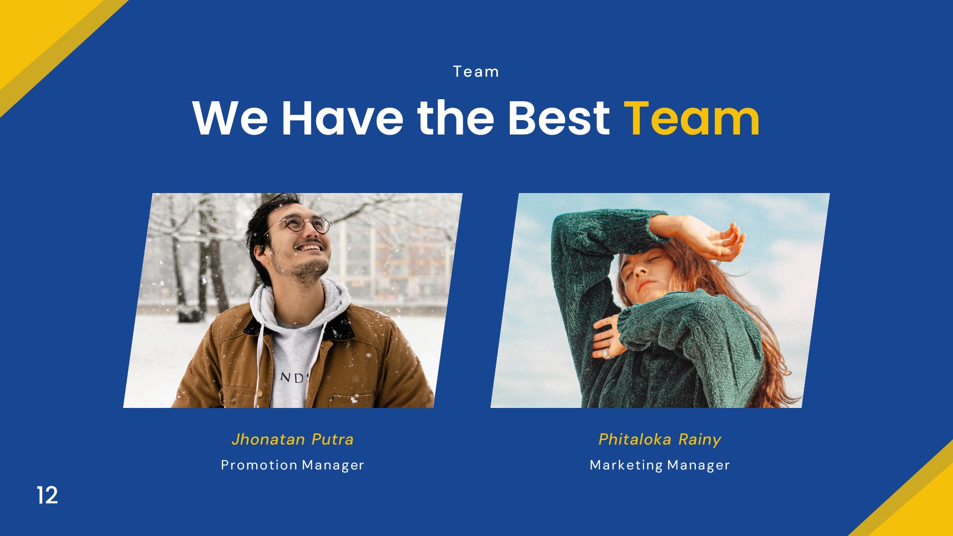 Vectora – Company Profile PowerPoint Template, Presentation Templates