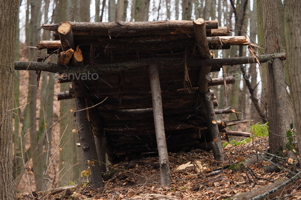 Survival in the forest. Survival in the wild. A structure made of ...