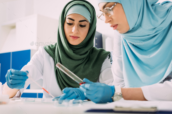 focused female muslim scientists holding pipette and glass test tube ...