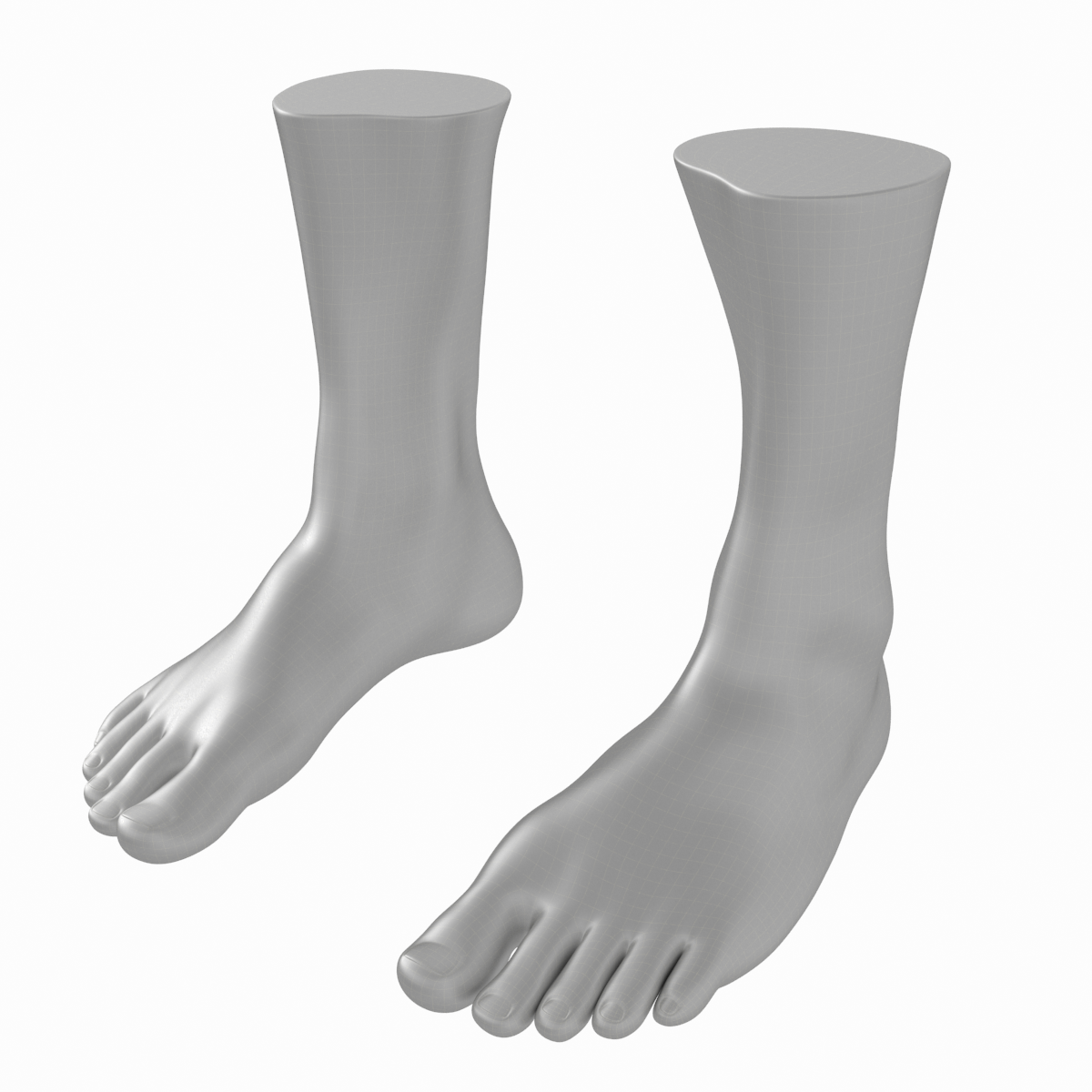 Male Realistic Feet Base Mesh by valeriik | 3DOcean