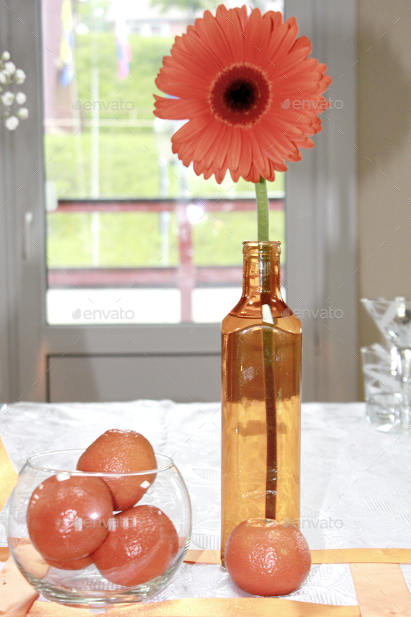 Apricot Crush color is the color of 2024 according to Pantone,in a ...