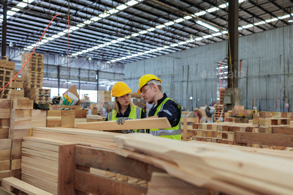 Collaborative Quality Check in Lumber Processing Facility Stock Photo ...