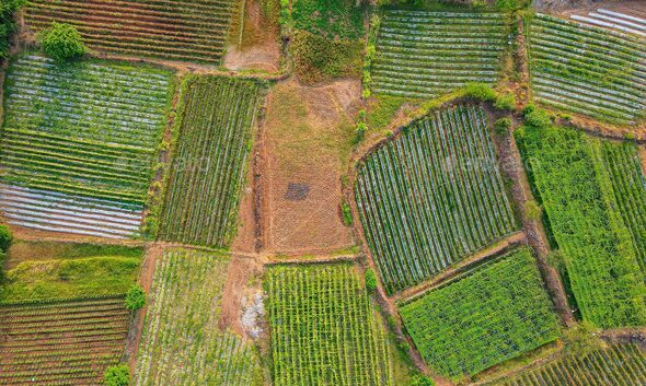 Top view of separated farmlands and agricultural fields, starting of ...