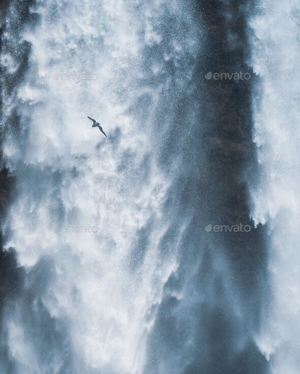 Vertical shot of a bird flying against massive waterfall splashing ...