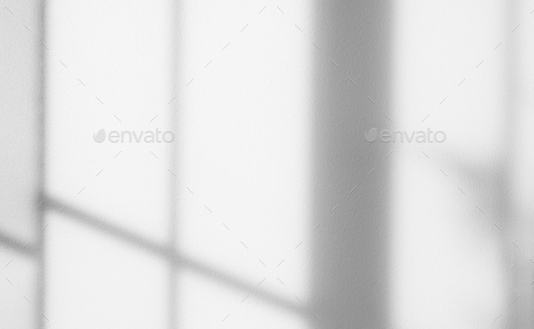 Background White Wall Studio with Shadow Leaves, Light,Empty Cement ...