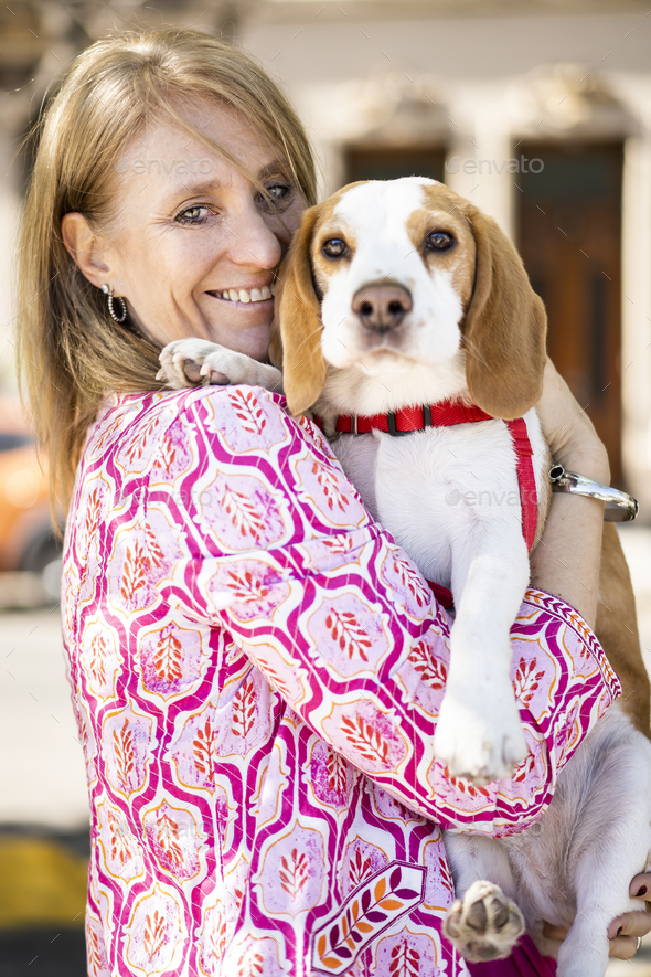 Female hugging friendly beagle dog enjoying happy moments while both ...