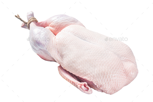 Raw free range whole duck. Isolated, white background. Stock Photo by ...