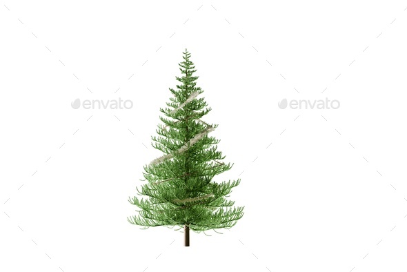 Cutout pine tree. Fir isolated on white background. Stock Photo by ...