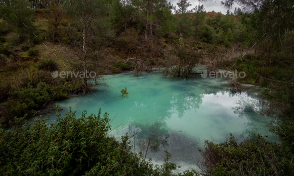 Mountain forest lake landscape. Blue water natural reservoir with pine ...
