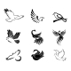 Bird Symbols, Vectors | GraphicRiver
