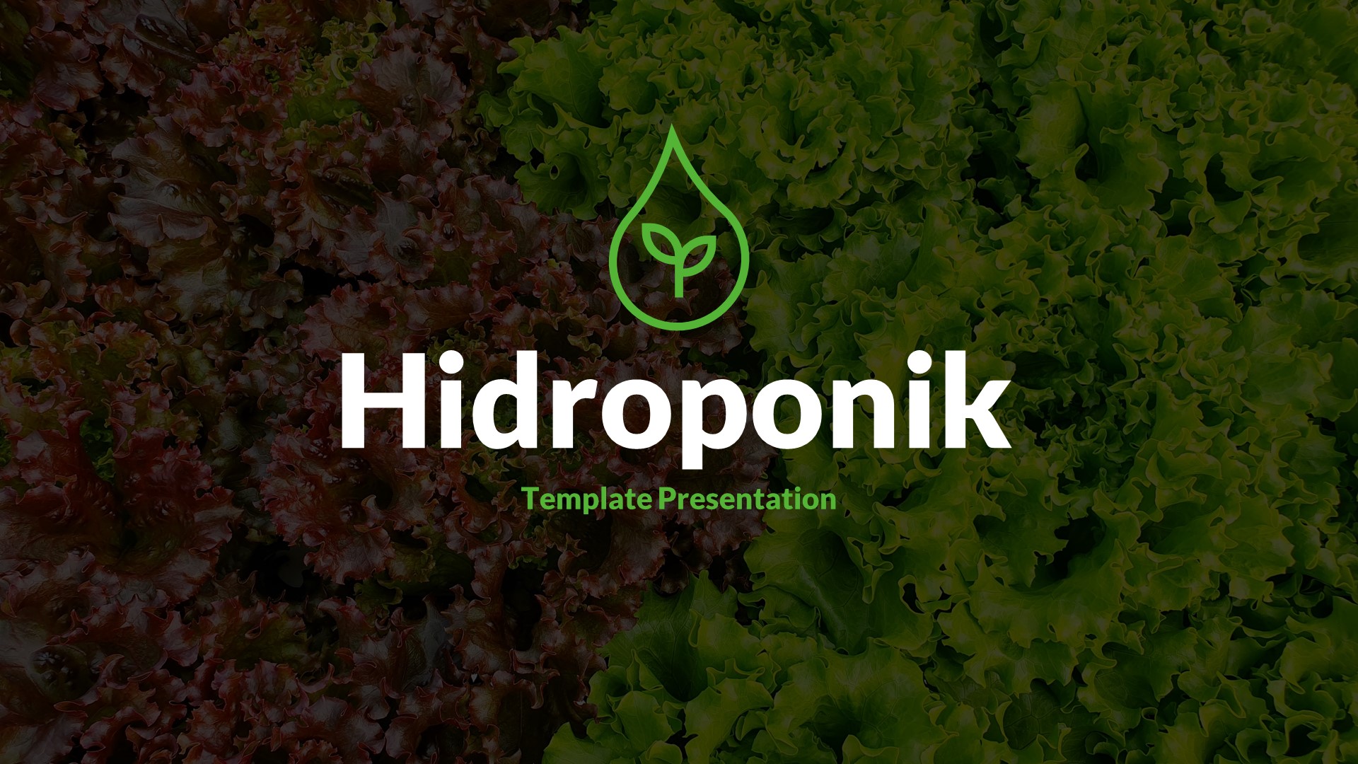 Hidroponic - Hydroponics Agriculture Powerpoint Template, Presentation ...