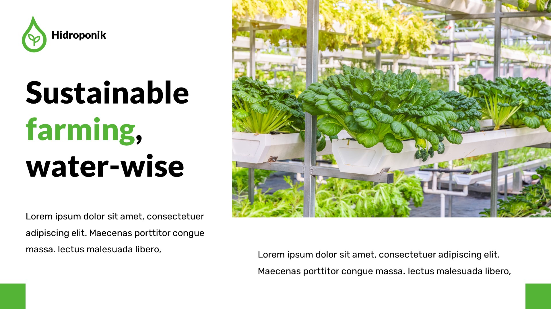 Hidroponic - Hydroponics Agriculture Powerpoint Template, Presentation ...