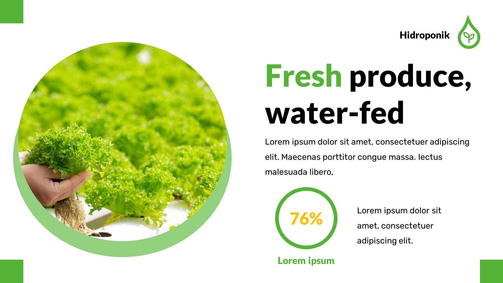 Hidroponic - Hydroponics Agriculture Powerpoint Template, Presentation ...