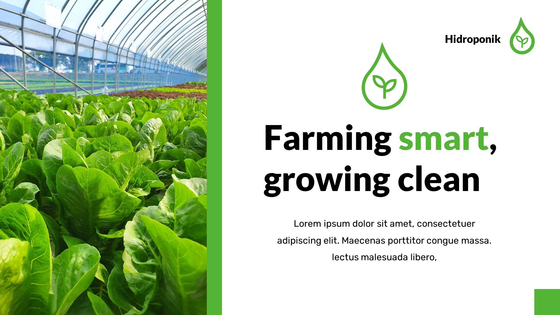 Hidroponic - Hydroponics Agriculture Powerpoint Template, Presentation ...