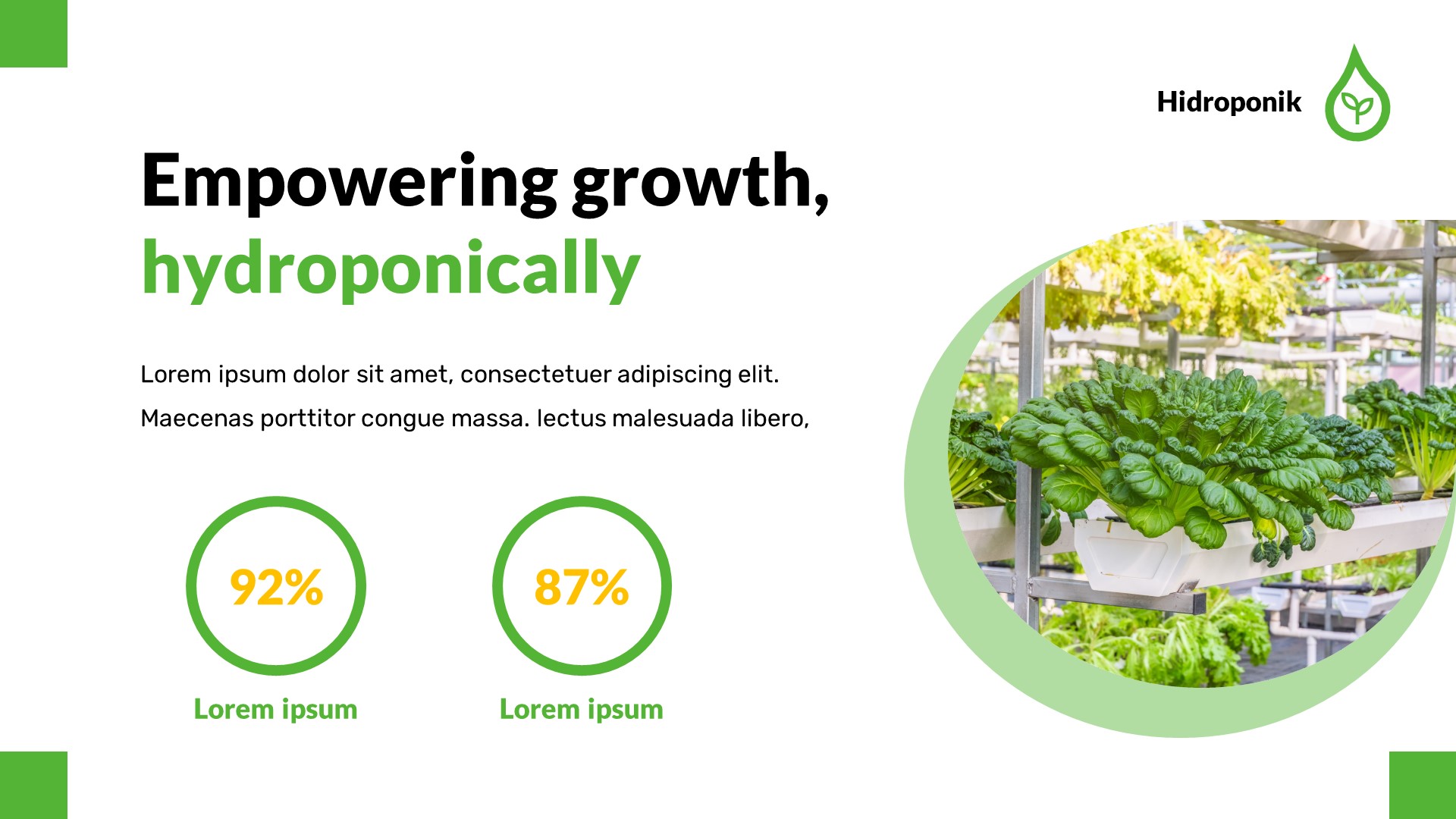 Hidroponic - Hydroponics Agriculture Powerpoint Template, Presentation ...
