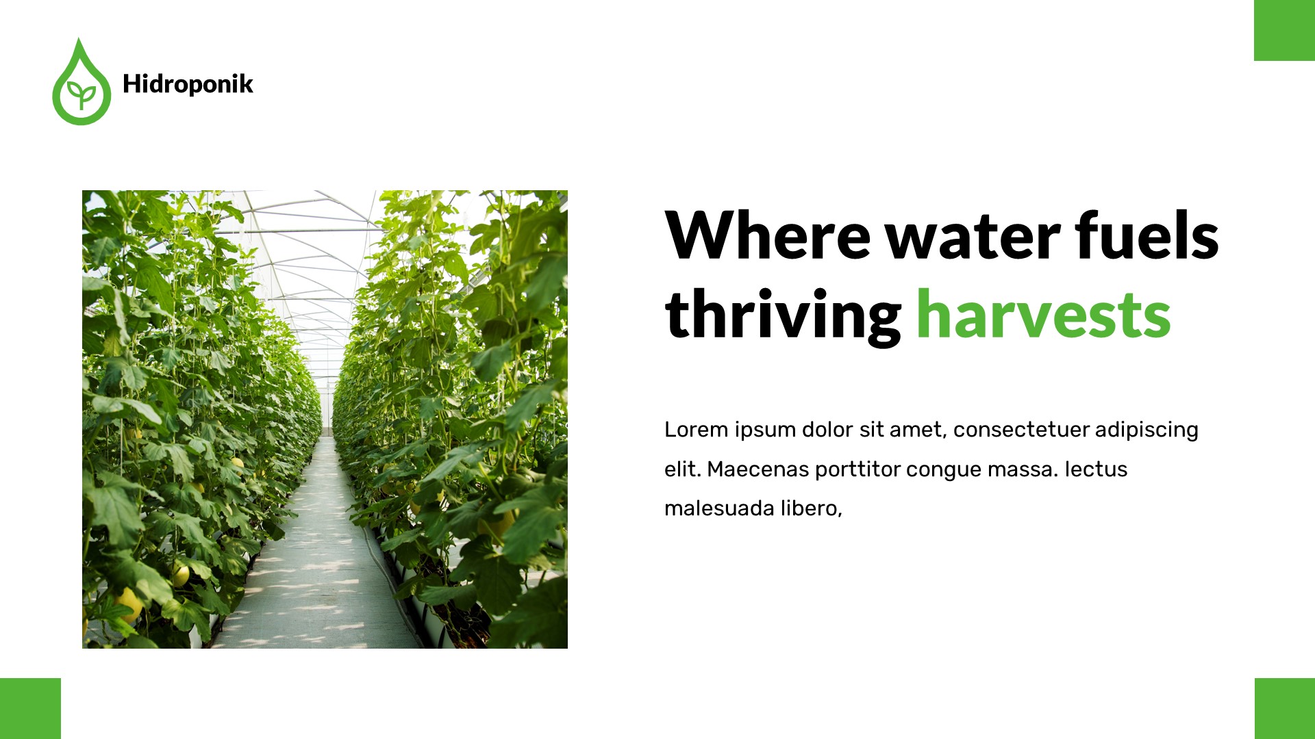 Hidroponic - Hydroponics Agriculture Powerpoint Template, Presentation ...