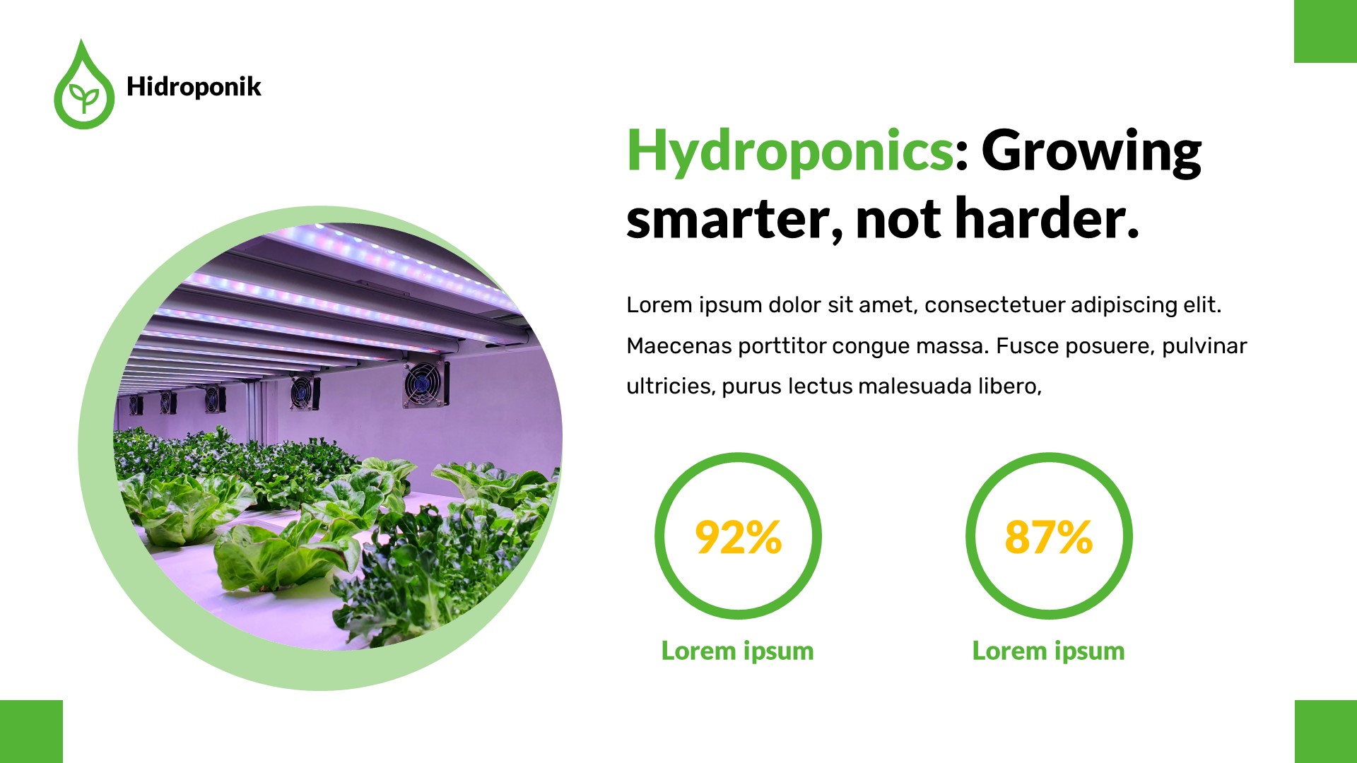 Hidroponic - Hydroponics Agriculture Powerpoint Template, Presentation ...